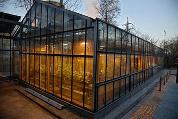 GREENHOUSE LABORATORY | Federal Research Centre "Fundamentals of ...